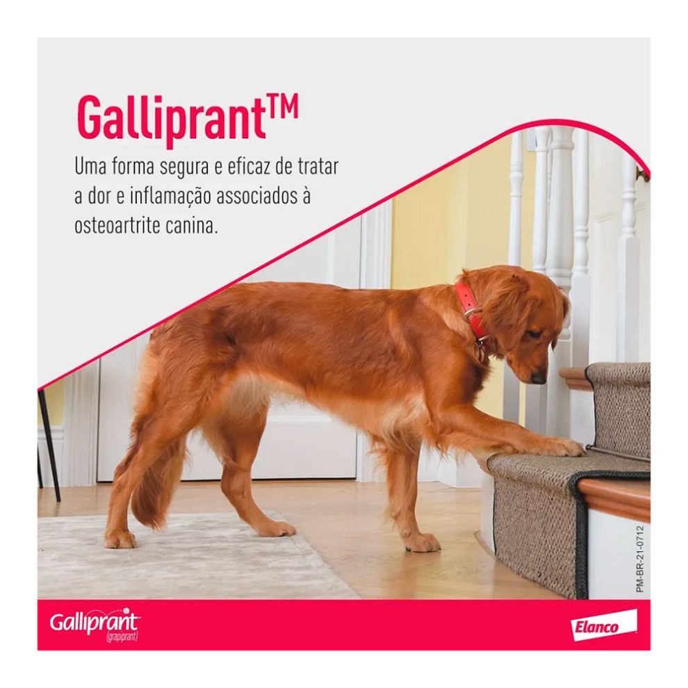Galliprant 60mg Anti-Inflamatório Elanco 7 Comprimidos - Popular Pet | Pet Shop Online
